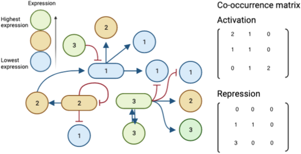 Graph ‘texture’ features as novel metrics that can summarize complex ...