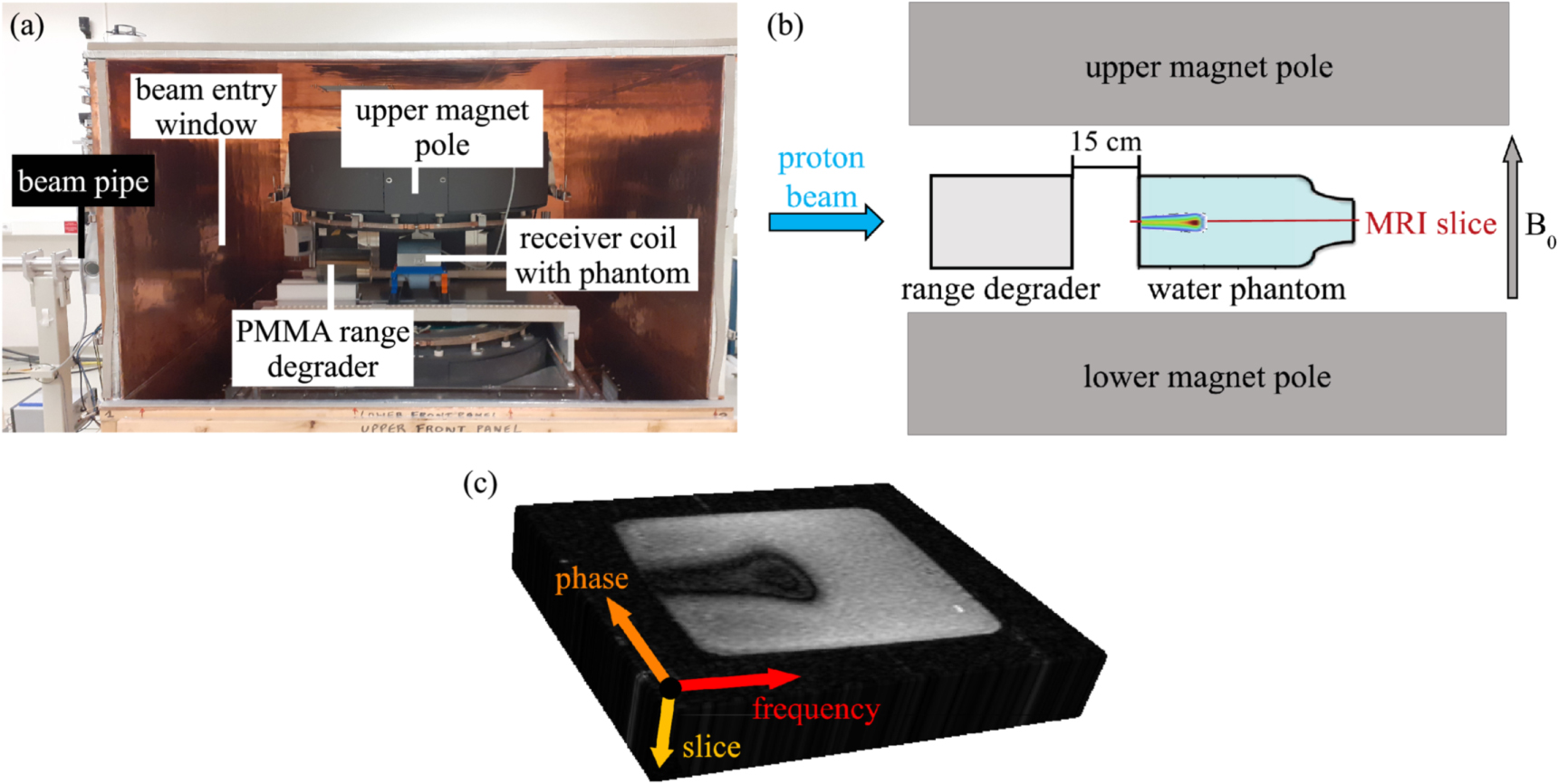 MRI magnitude signal-based proton beam visualisation in water phantoms ...