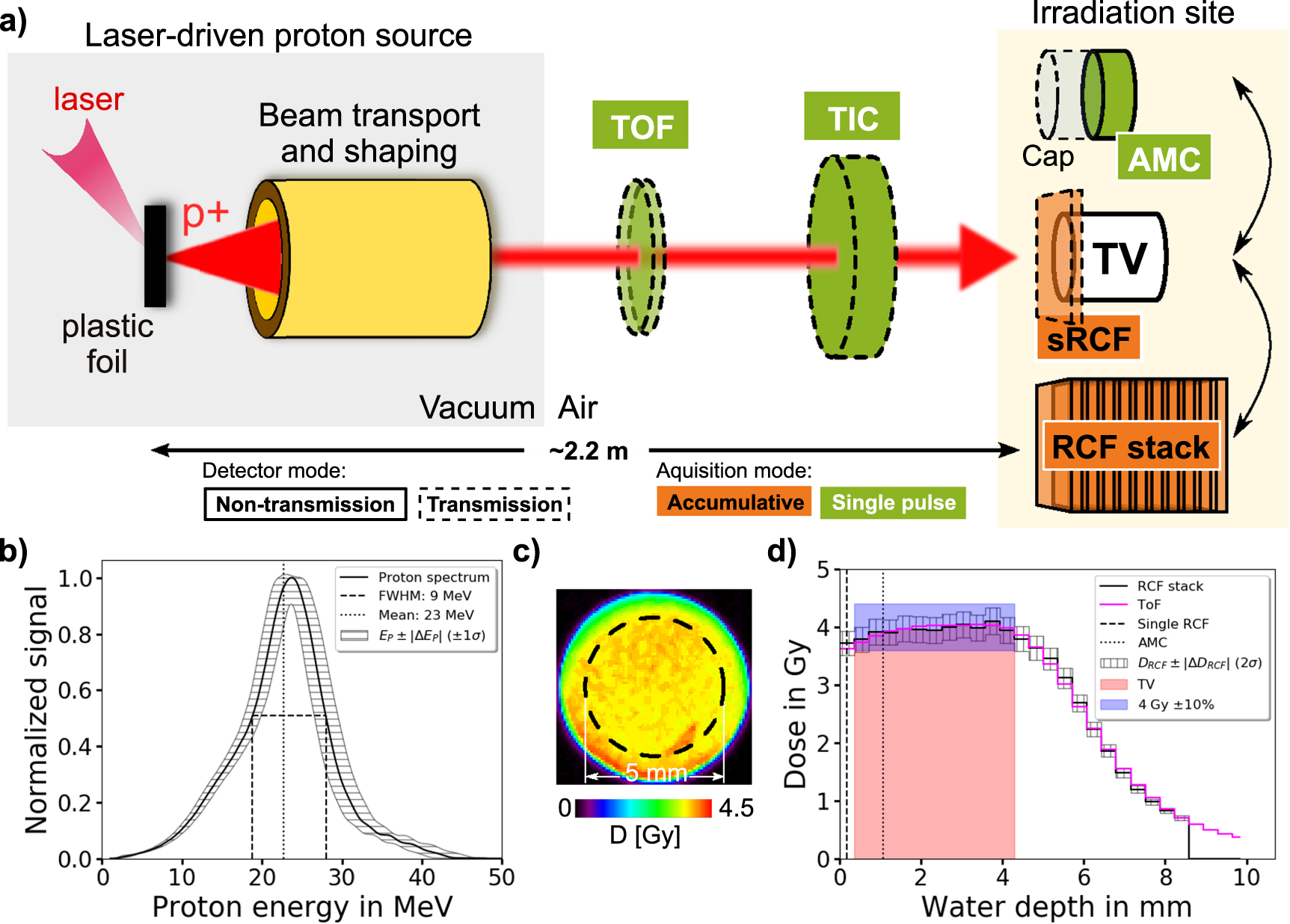 Dosimetry for radiobiological in vivo experiments at laser plasma-based ...