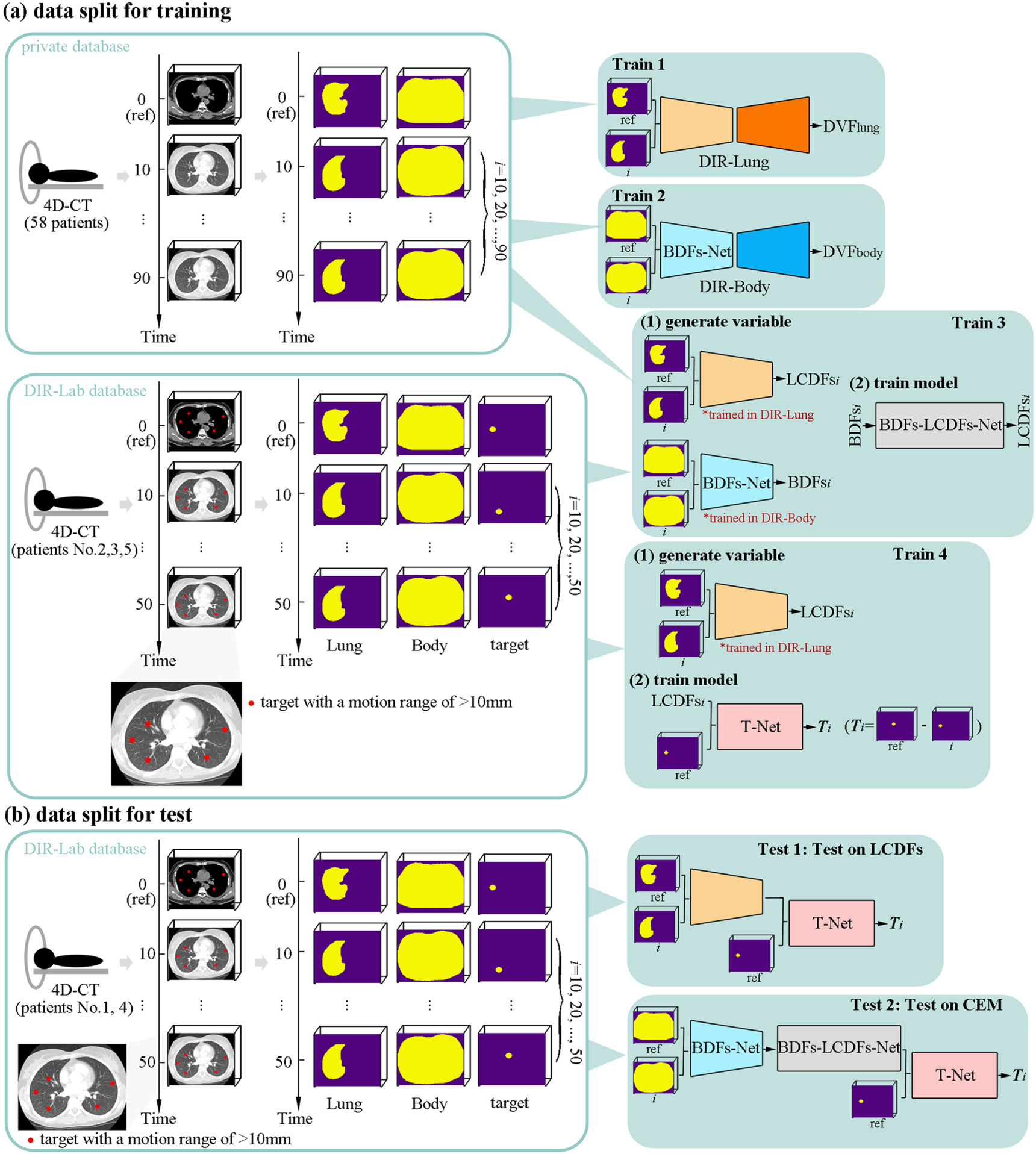 Extracting lung contour deformation features with deep learning for ...