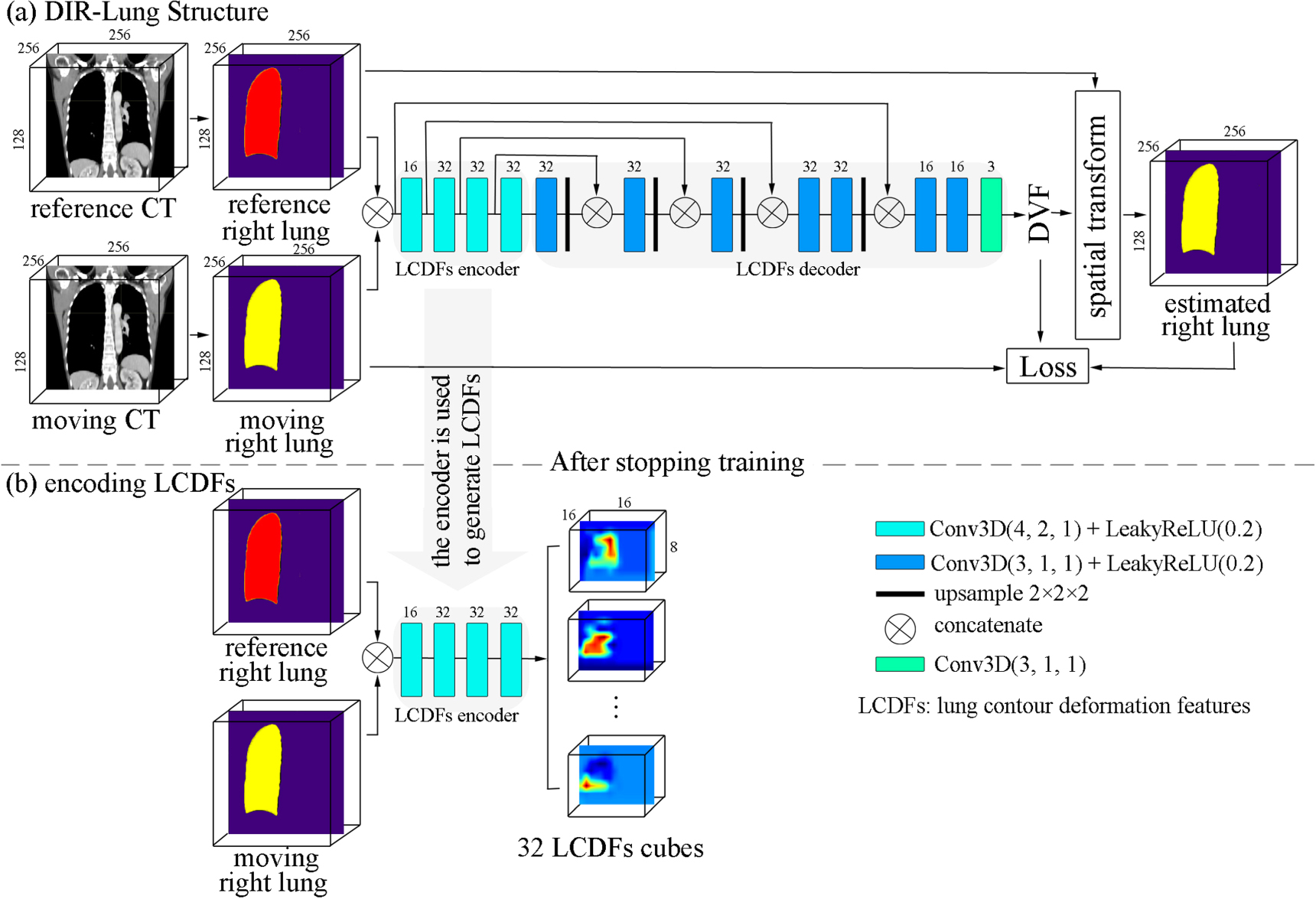 Extracting lung contour deformation features with deep learning for internal target motion ...