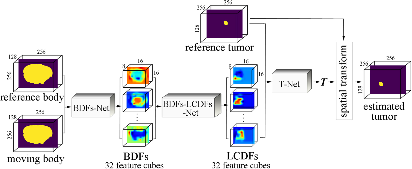 Extracting lung contour deformation features with deep learning for internal target motion ...
