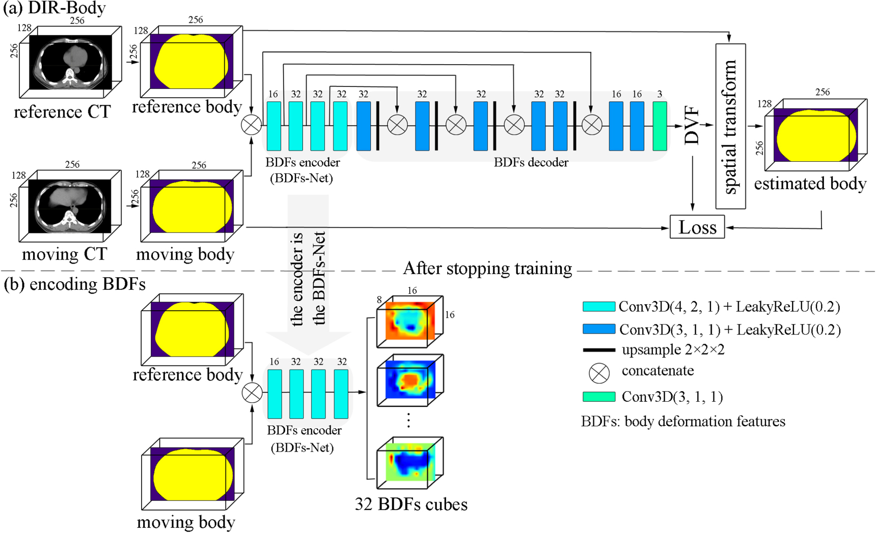 Extracting lung contour deformation features with deep learning for internal target motion ...