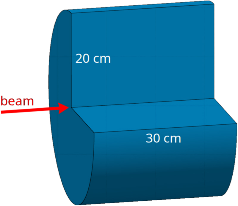 Time dynamics of the dose deposited by relativistic ultra-short ...