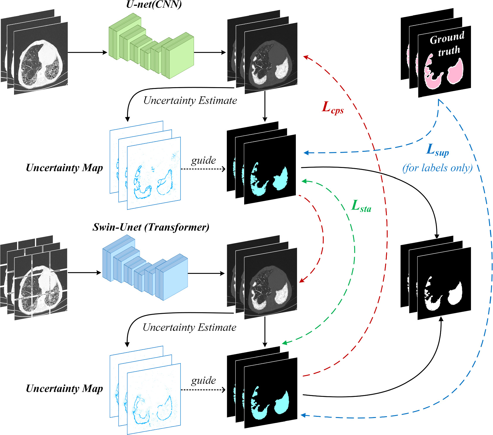 Uncertainty-guided cross learning via CNN and transformer for semi ...