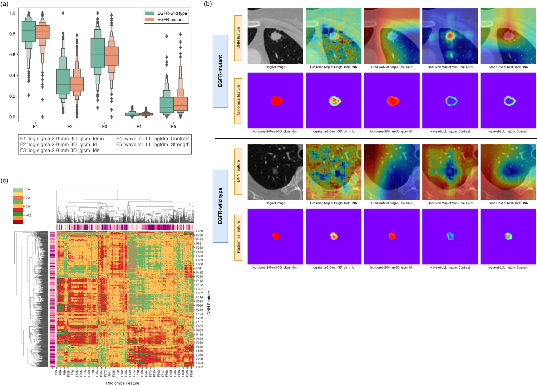 Hybrid deep multi-task learning radiomics approach for predicting EGFR mutation status of non ...