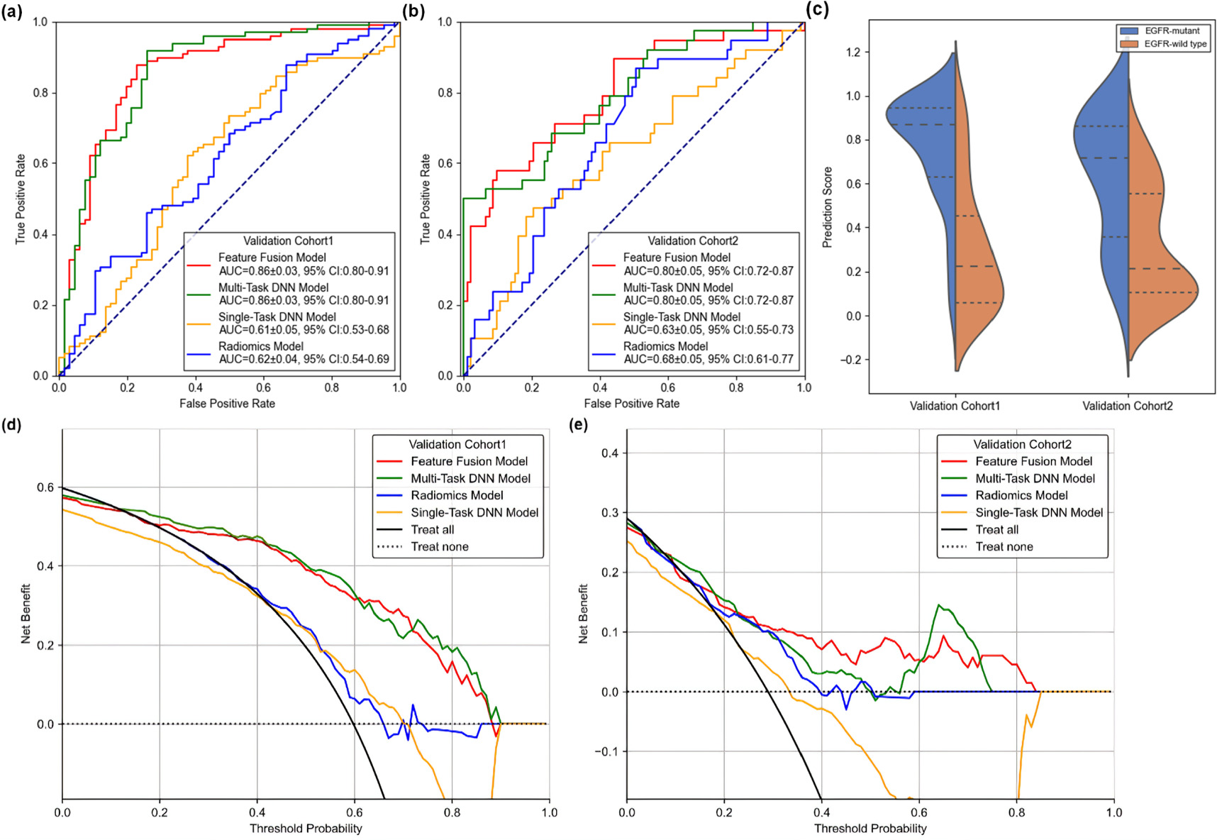Hybrid deep multi-task learning radiomics approach for predicting EGFR mutation status of non ...