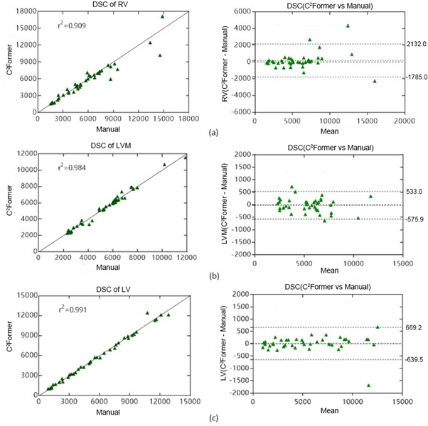 Cross-convolutional transformer for automated multi-organs segmentation ...