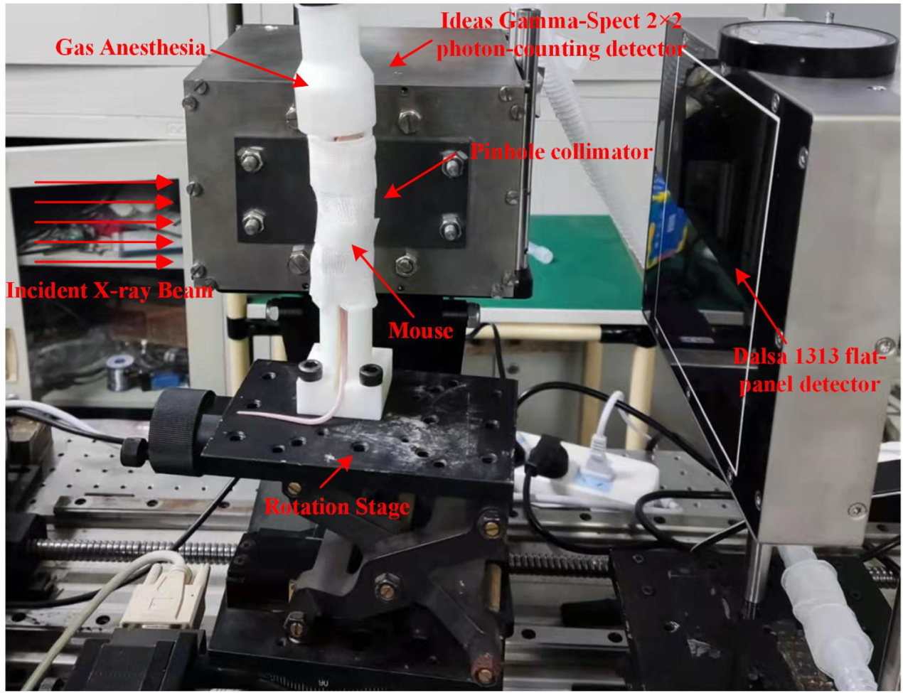 Full-field in vivo imaging of nanoparticles using benchtop cone-beam ...