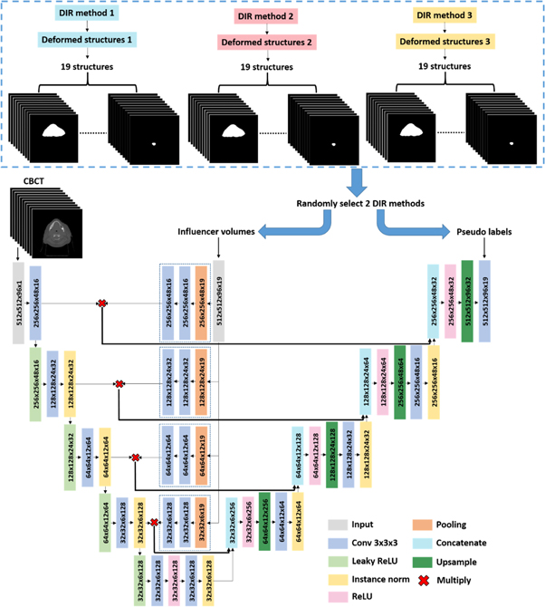 Deep learning based direct segmentation assisted by deformable image ...