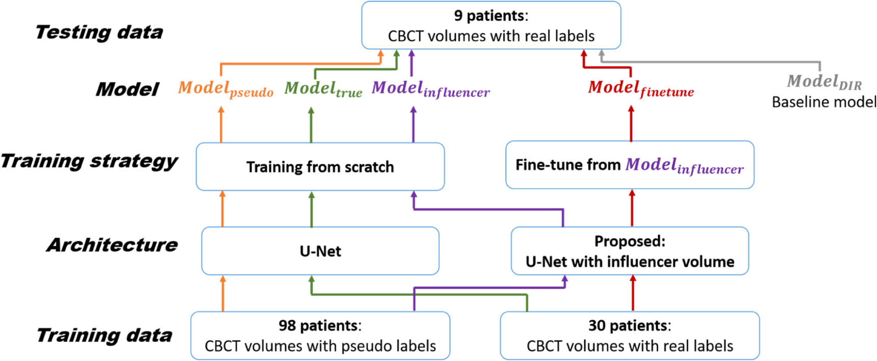 Deep learning based direct segmentation assisted by deformable image ...