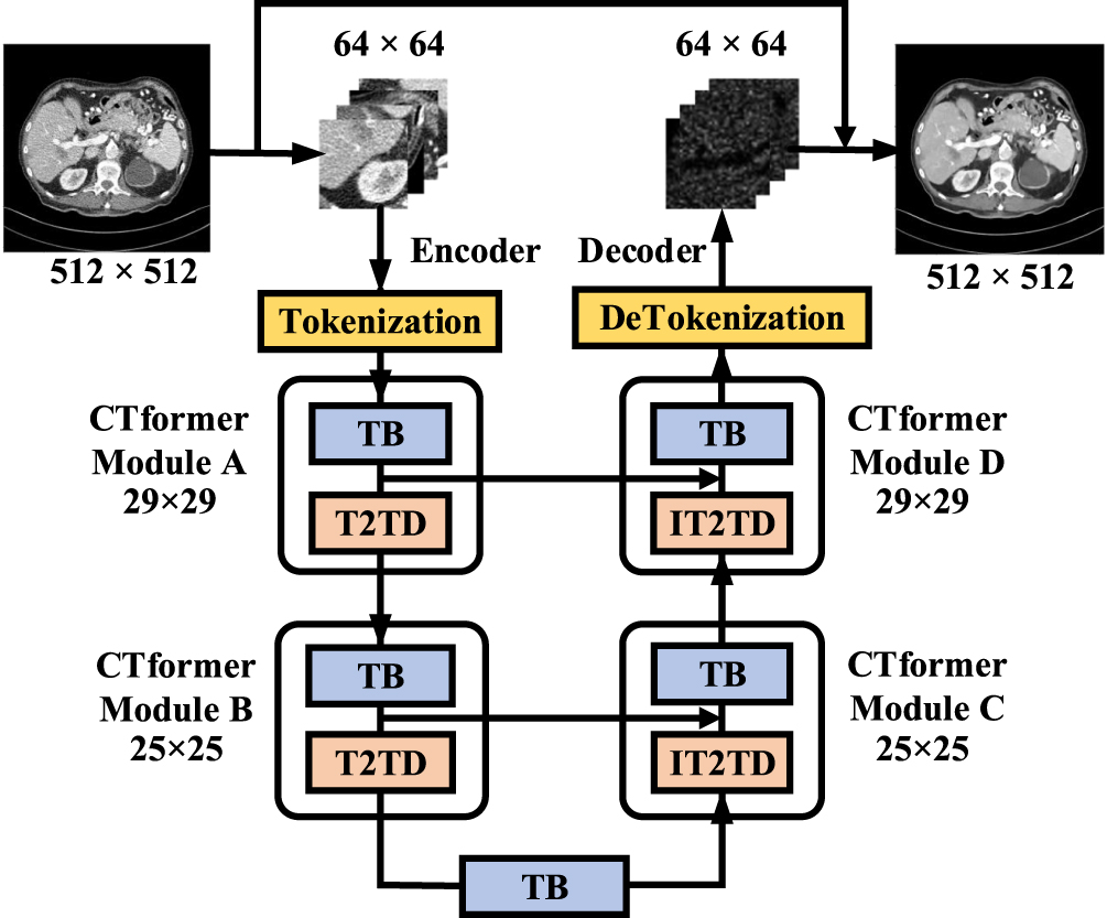 CTformer: convolution-free Token2Token dilated vision transformer for ...