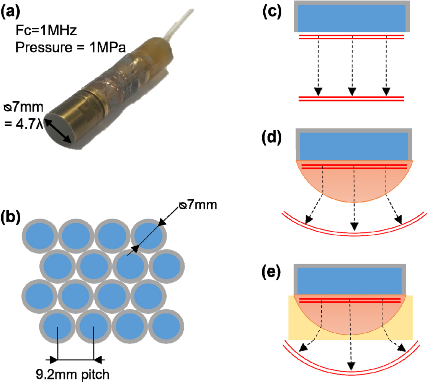Transcranial 3D ultrasound localization microscopy using a large ...