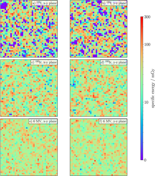 Haralick texture feature analysis for characterization of specific energy and absorbed dose ...