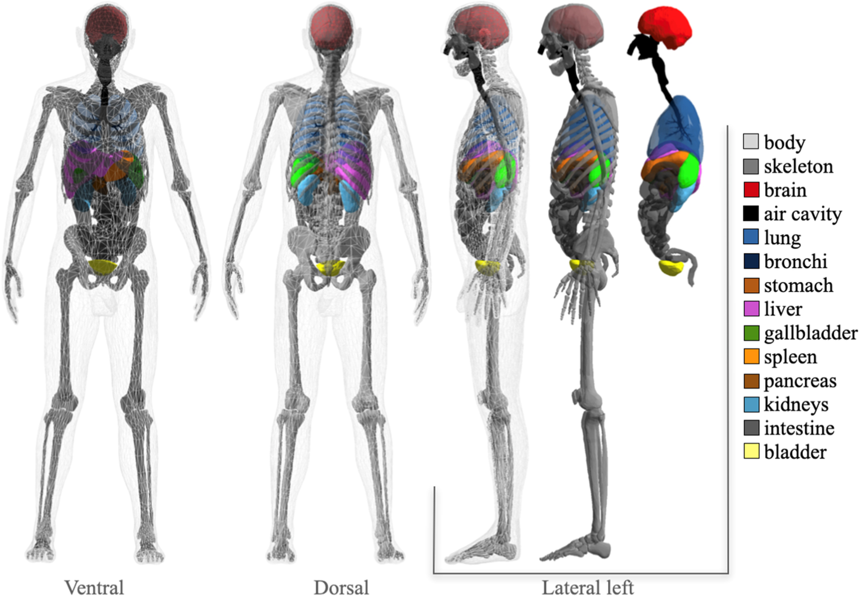 Mesh modeling of system geometry and anatomy phantoms for realistic ...