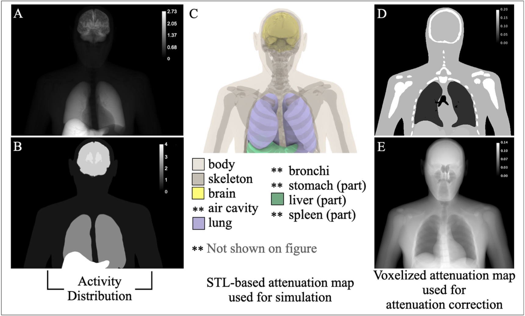 Mesh modeling of system geometry and anatomy phantoms for realistic ...