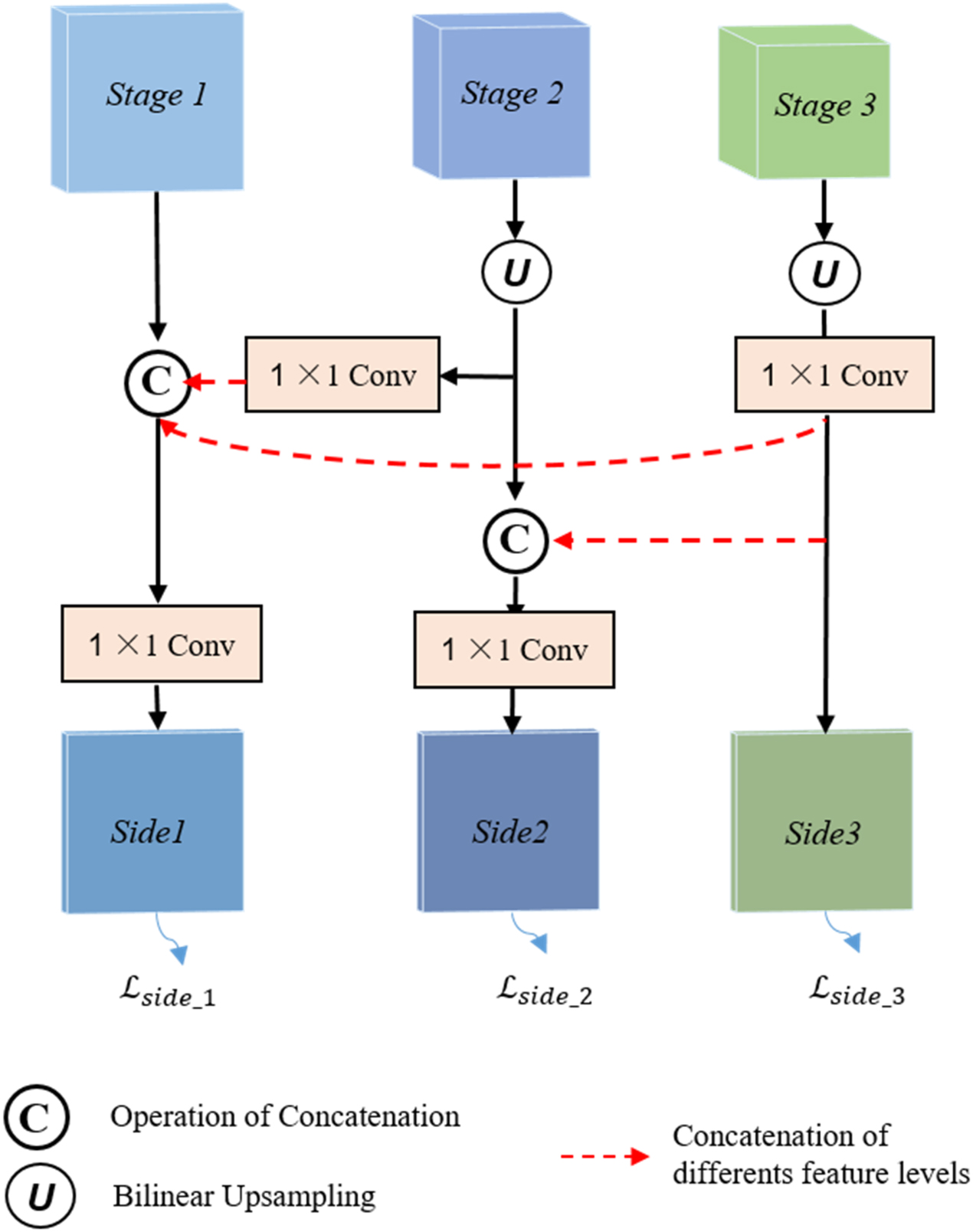 Multi-scale and local feature guidance network for corneal nerve fiber ...