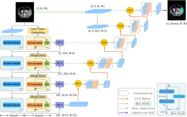 D-SAT: dual semantic aggregation transformer with dual attention for ...