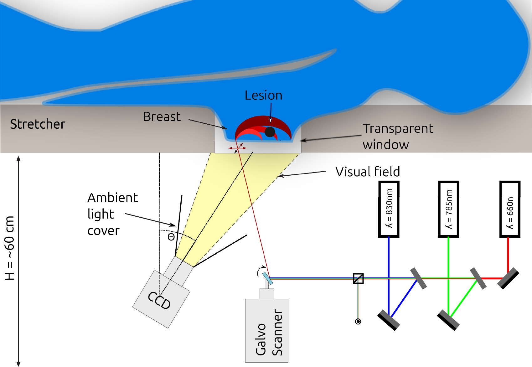 MamoRef: an optical mammography device using whole-field CW diffuse ...
