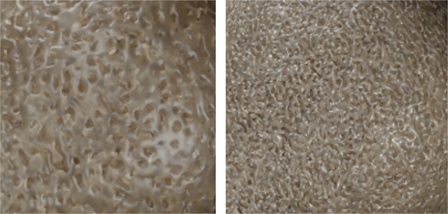 Surface-based anthropomorphic bone structures for use in high ...