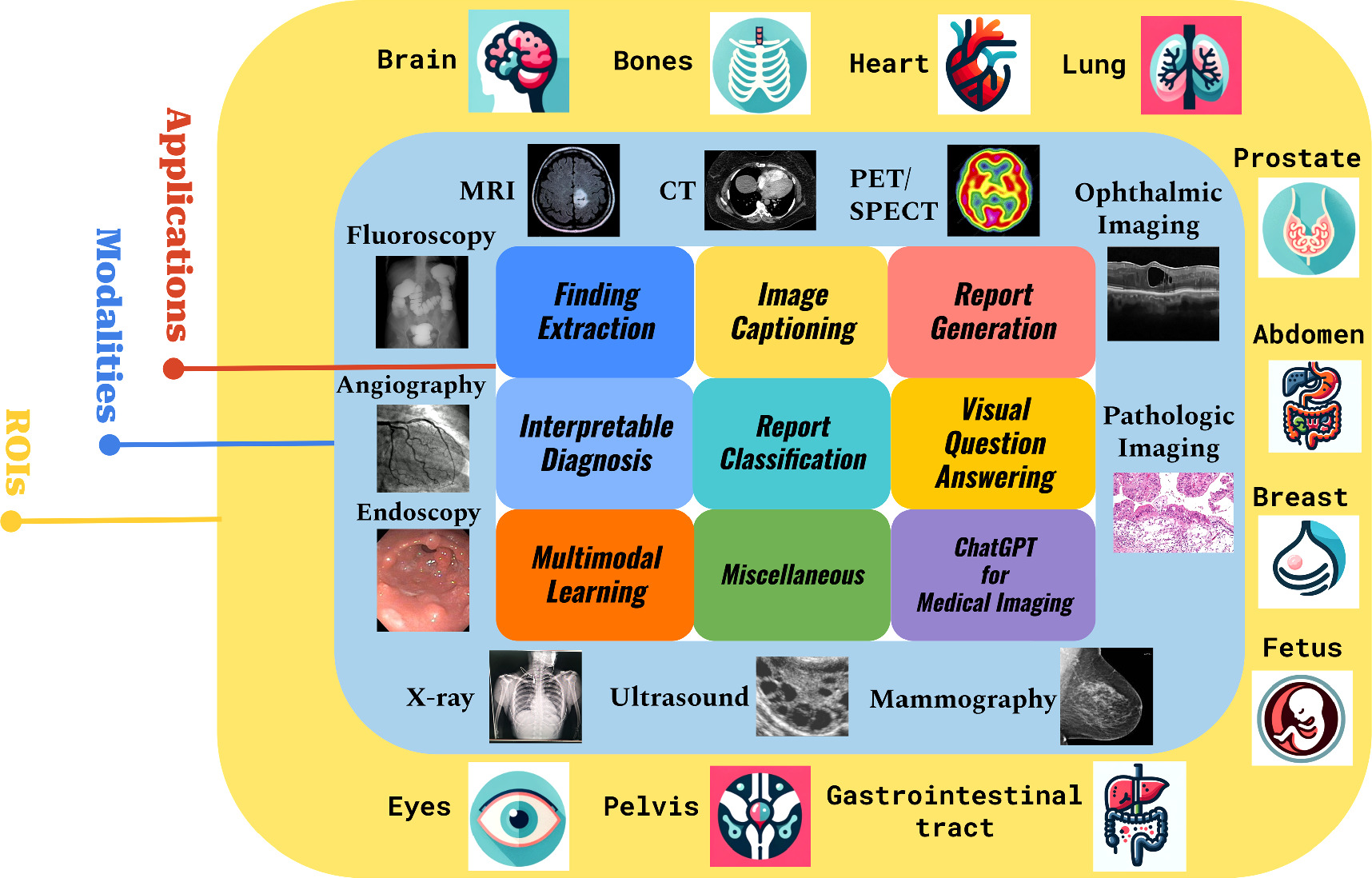 Advancing medical imaging with language models: featuring a spotlight ...