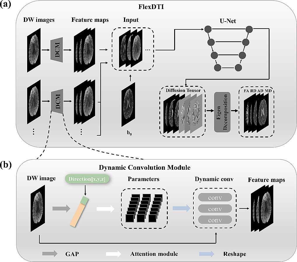 FlexDTI: flexible diffusion gradient encoding scheme-based highly efficient diffusion tensor ...