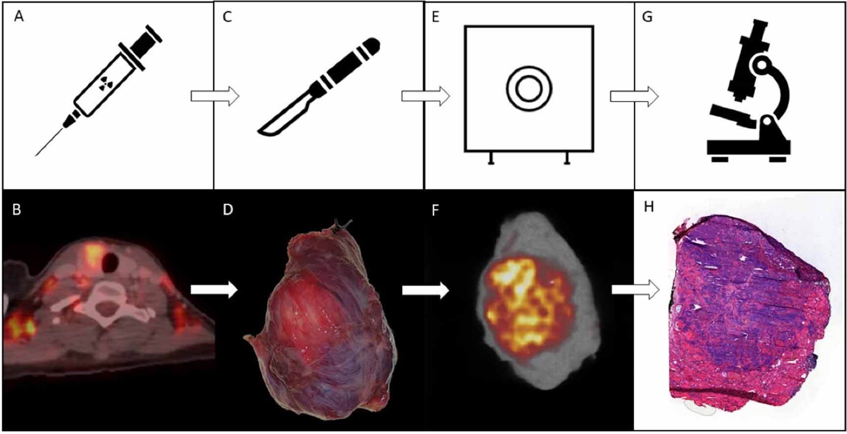 Innovations in dedicated PET instrumentation: from the operating room ...