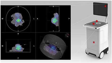 Innovations in dedicated PET instrumentation: from the operating room ...