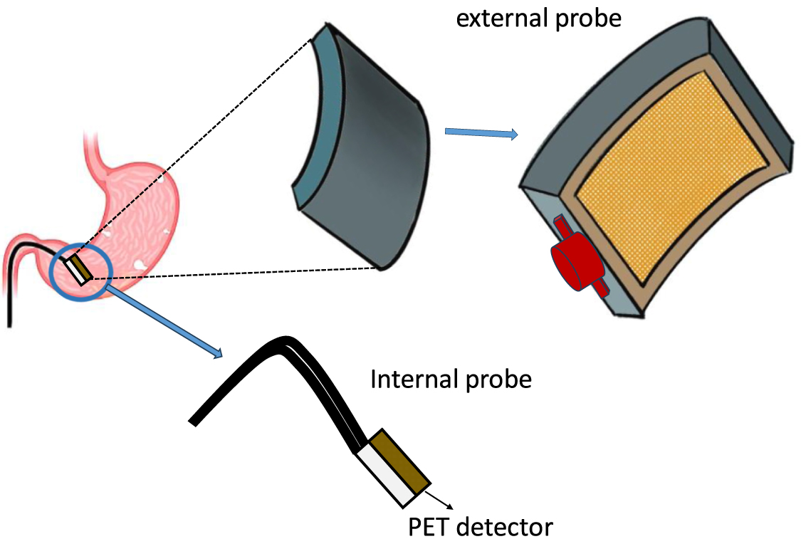 Innovations in dedicated PET instrumentation: from the operating room ...