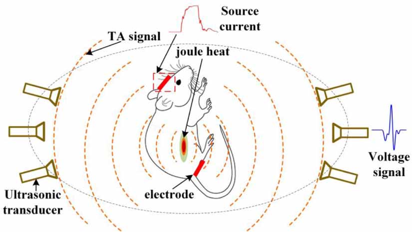 Mechanism of acoustic pressure spectrum shifting toward lower ...