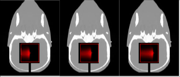 Investigation of intra-fractionated range guided adaptive proton ...
