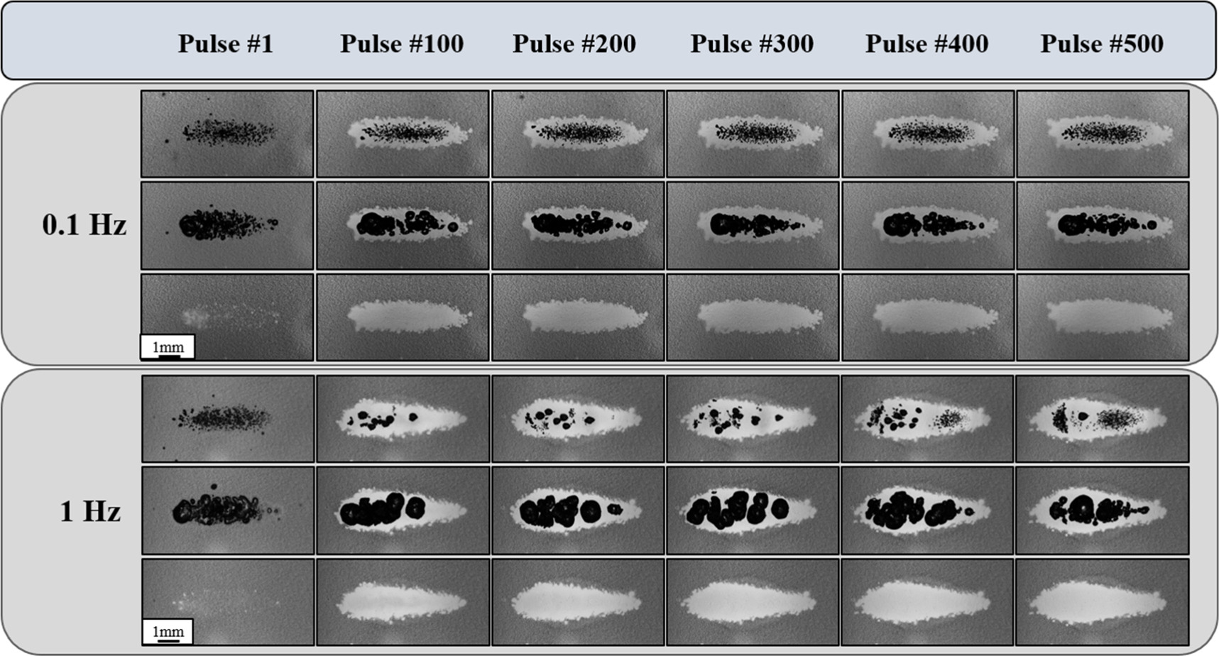Effects of pulse repetition frequency on bubble cloud characteristics ...