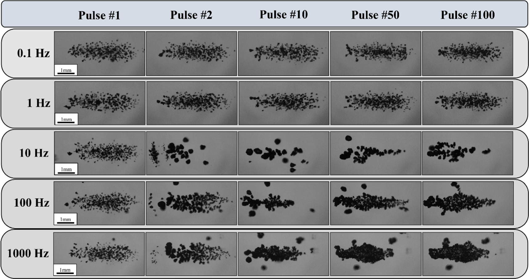 Effects of pulse repetition frequency on bubble cloud characteristics ...