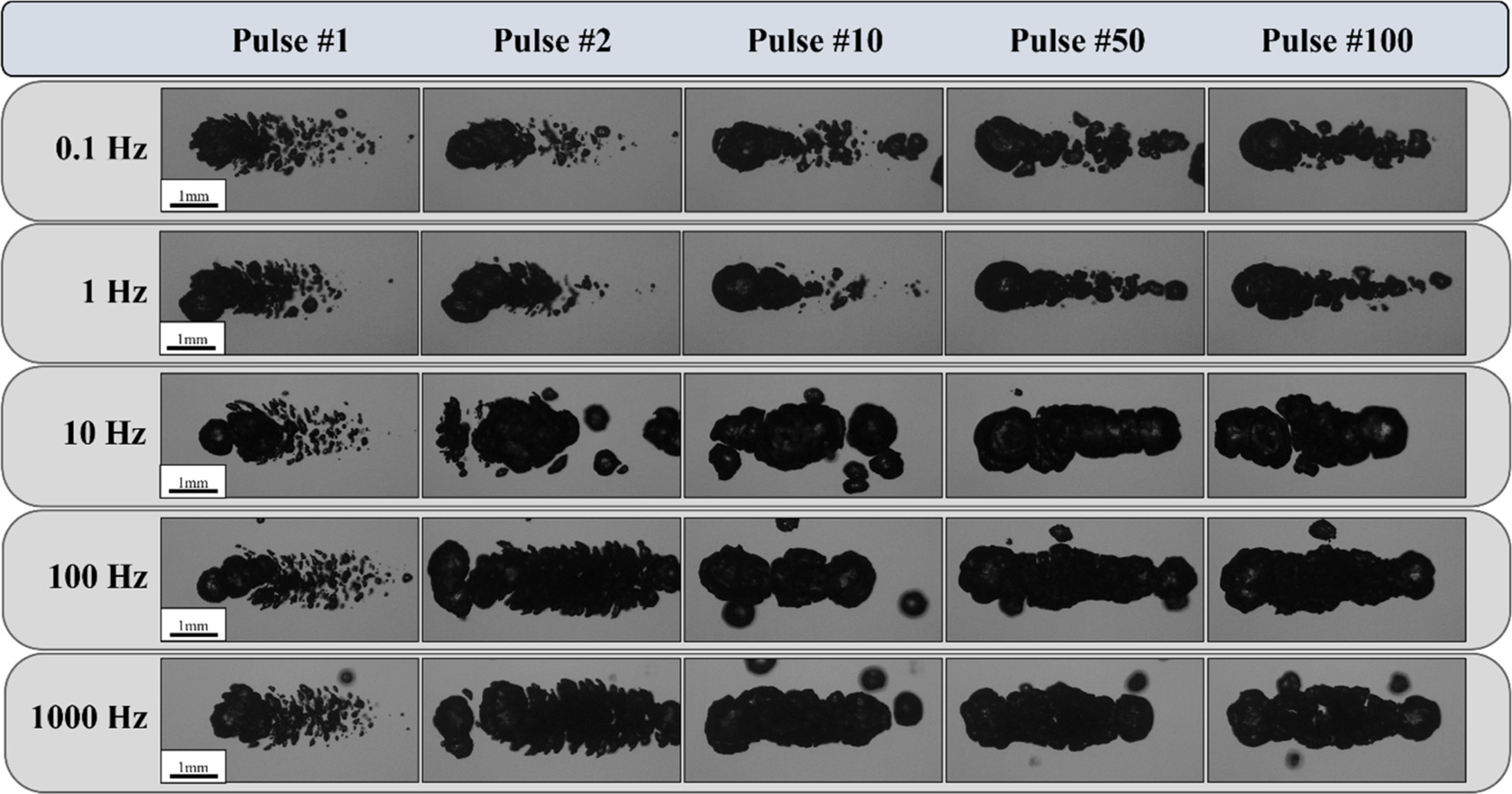 Effects of pulse repetition frequency on bubble cloud characteristics ...