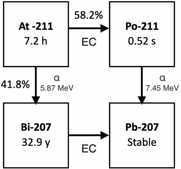 Dosimetry at cellular level for the alpha-emitting radionuclides ...