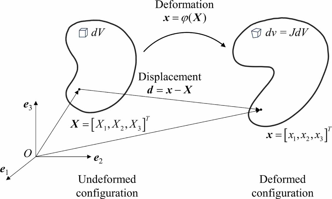 A novel proposition of radiation energy conservation in radiation dose ...