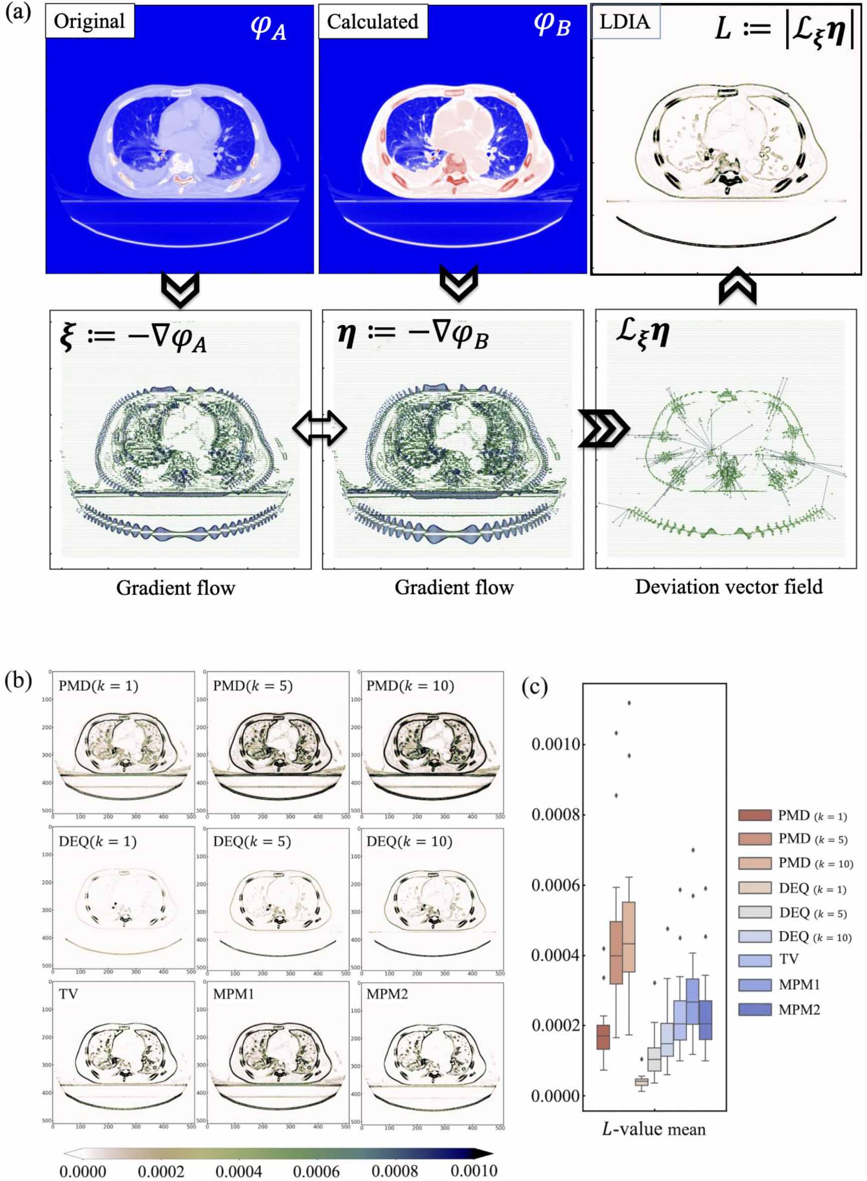 Diffusion equation quantification: selective enhancement algorithm for bone metastasis lesions ...