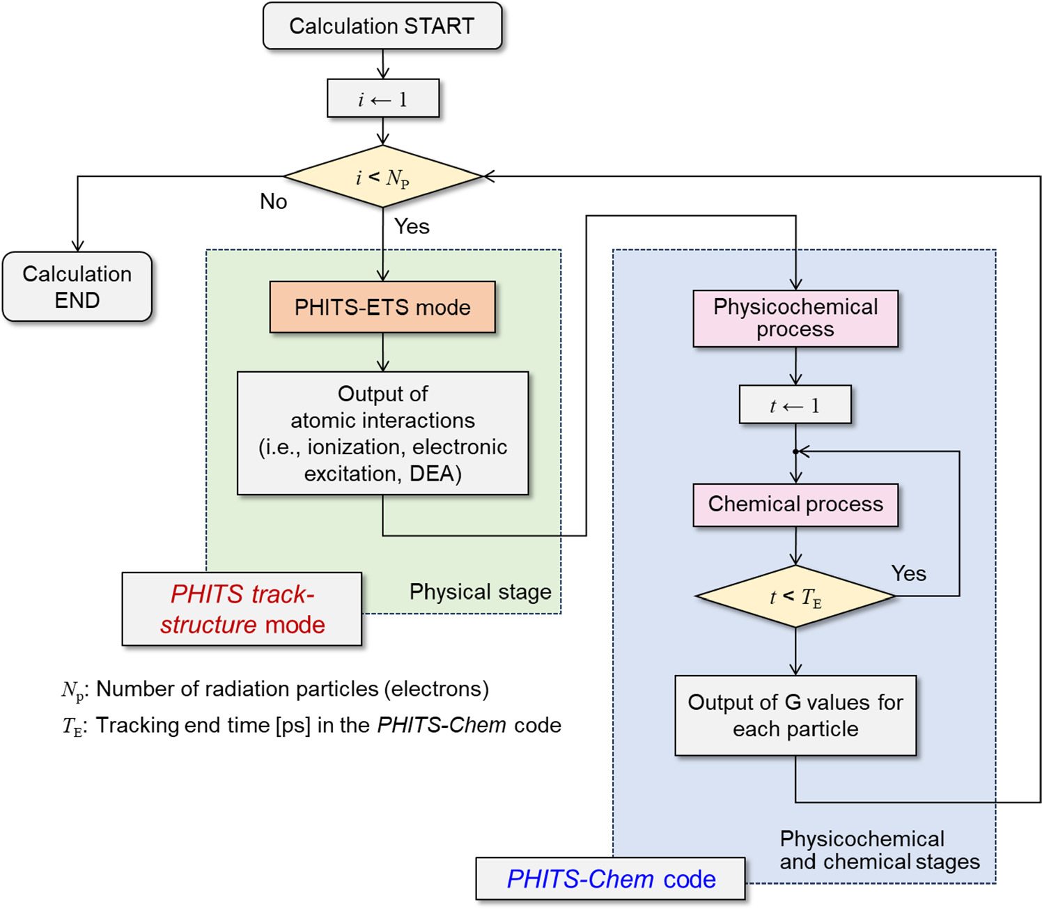 A step-by-step simulation code for estimating yields of water radiolysis species based on ...