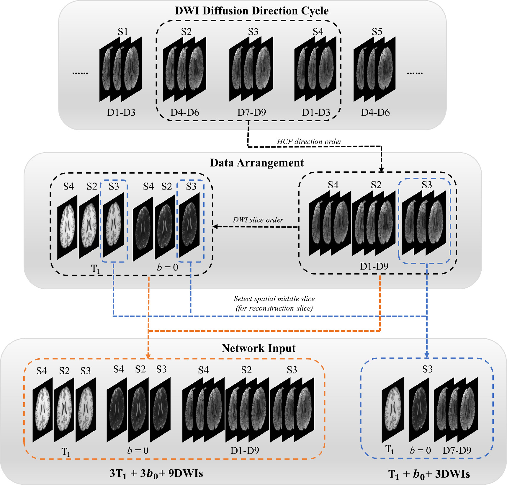 Ultrafast diffusion tensor imaging based on deep learning and multi ...