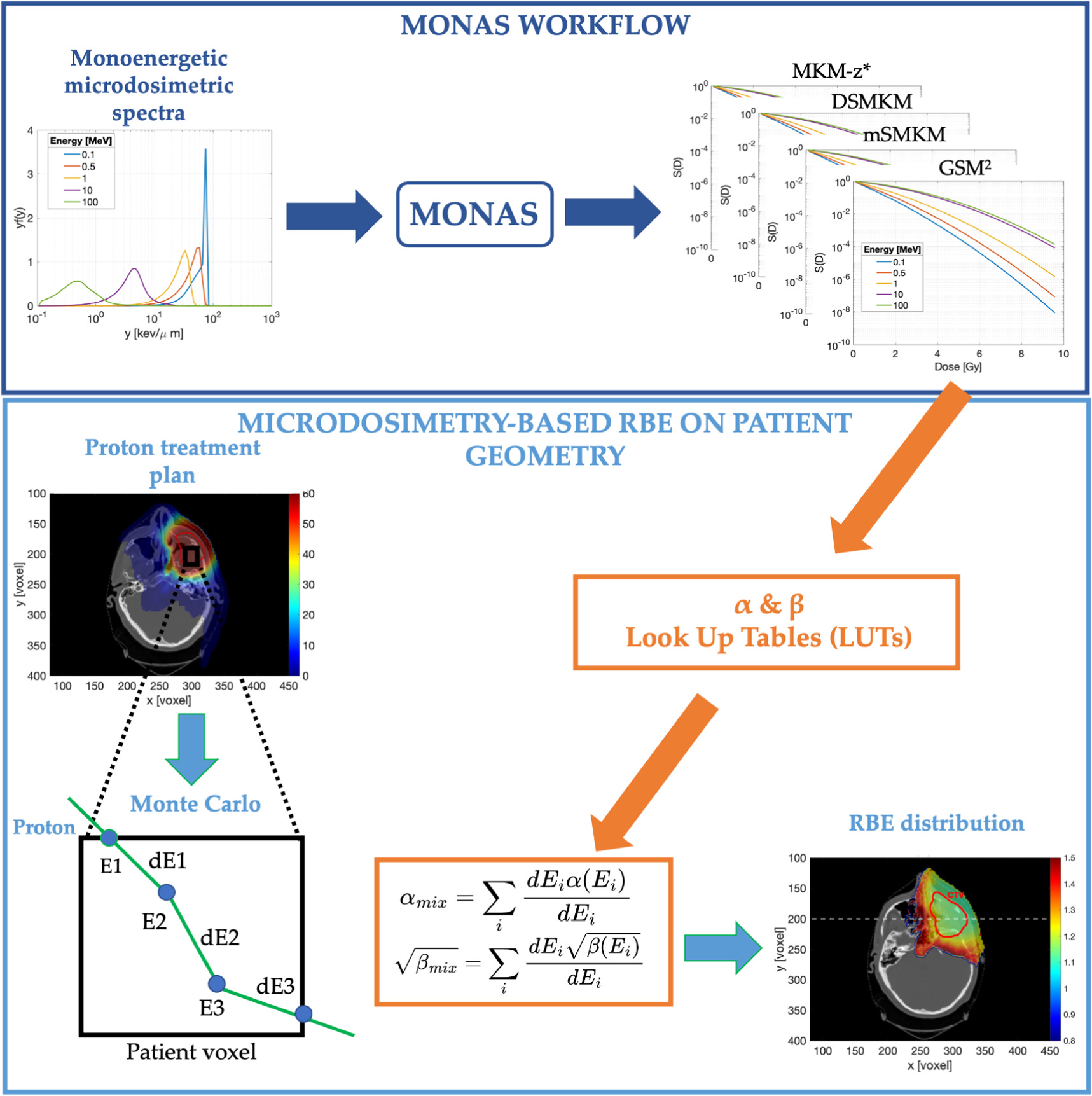 Integrating microdosimetric in vitro RBE models for particle therapy ...