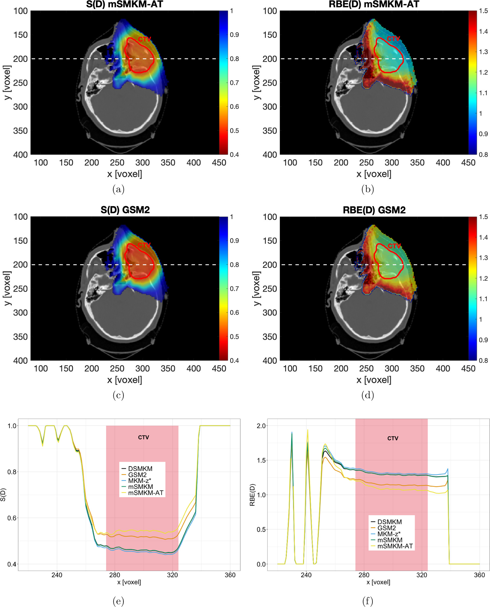Integrating microdosimetric in vitro RBE models for particle therapy ...