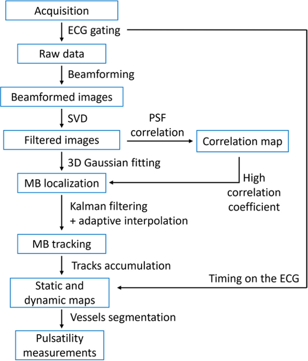 Quantitative pulsatility measurements using 3D dynamic ultrasound ...