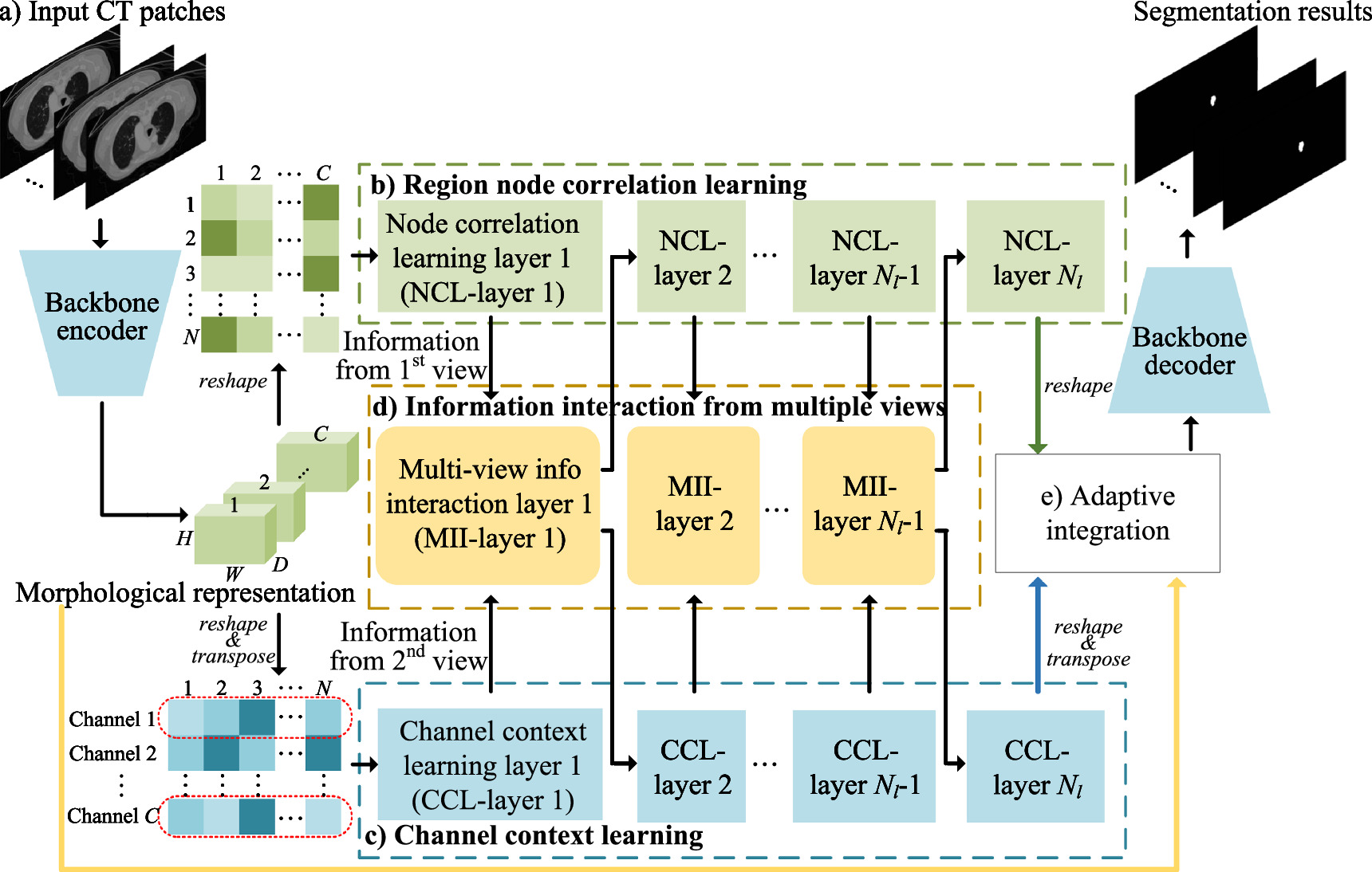 Mutually enhanced multi-view information learning for segmentation of lung tumor in CT images ...