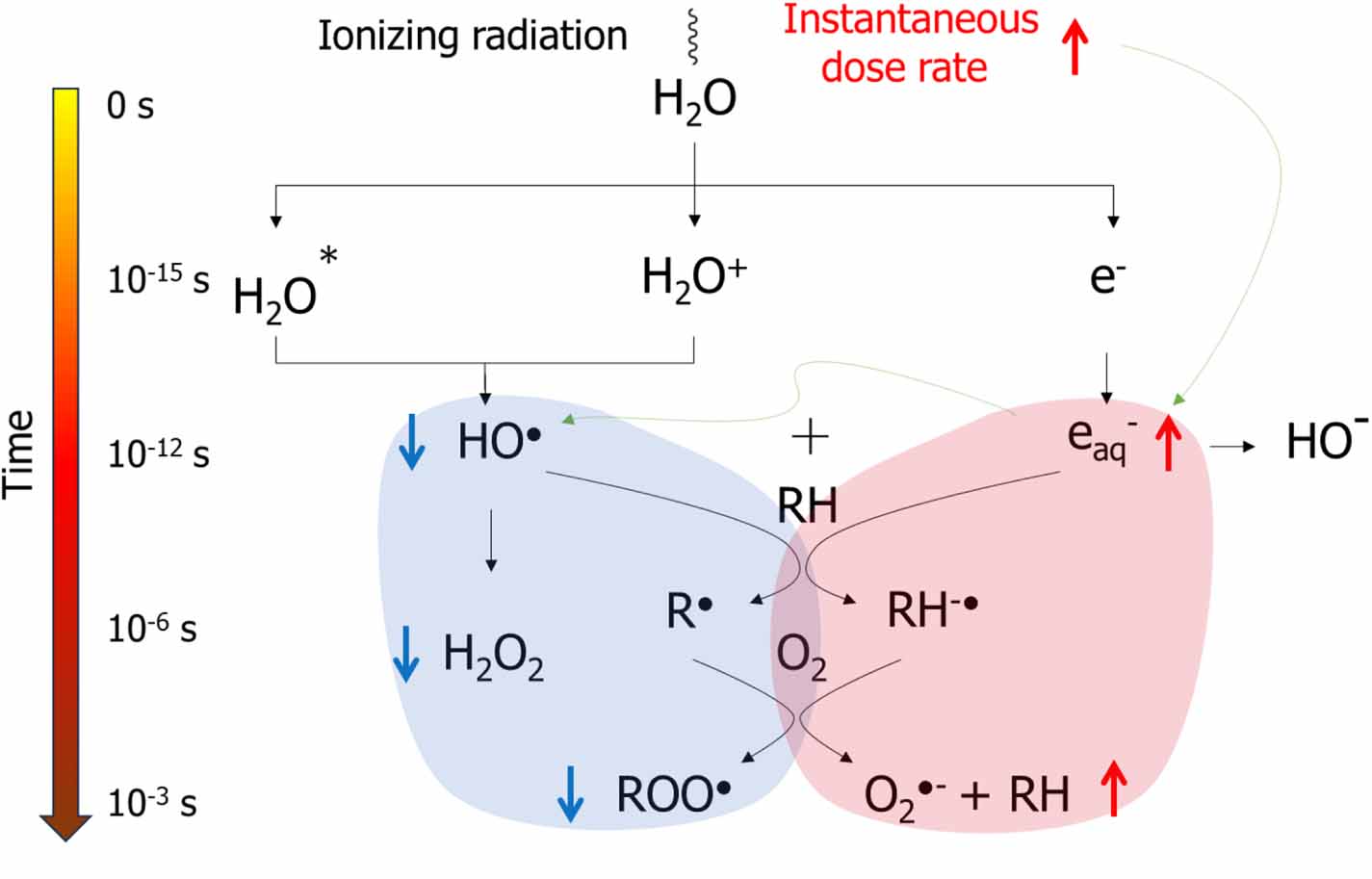 Hydrated electron yield dependence on instantaneous dose rates with ...