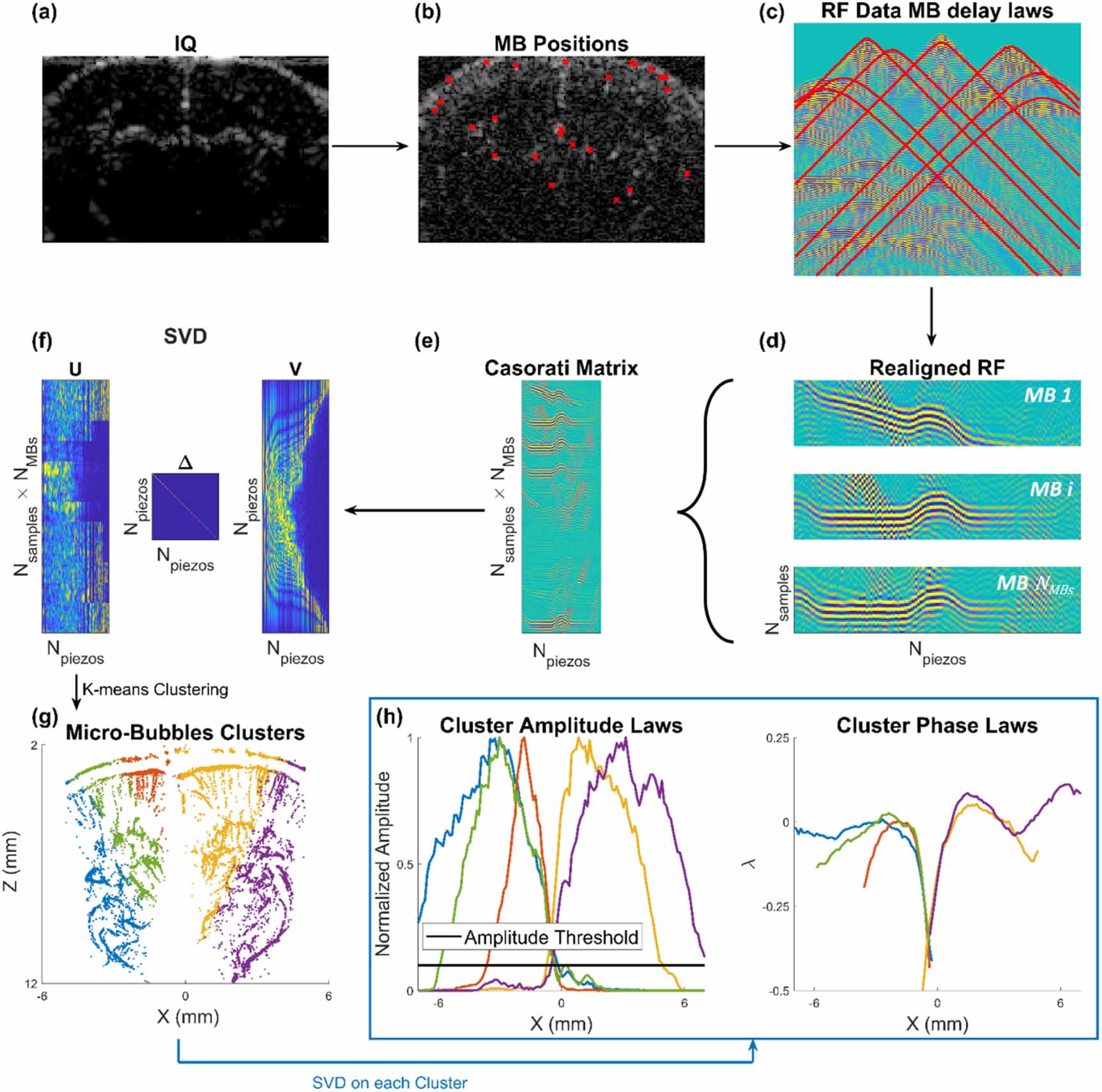 Singular value decomposition of microbubbles echoes for skull ...