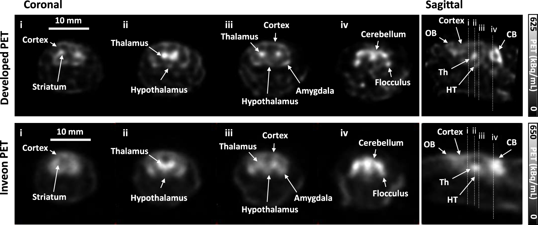 Development of a submillimeter resolution PET scanner with compact ...