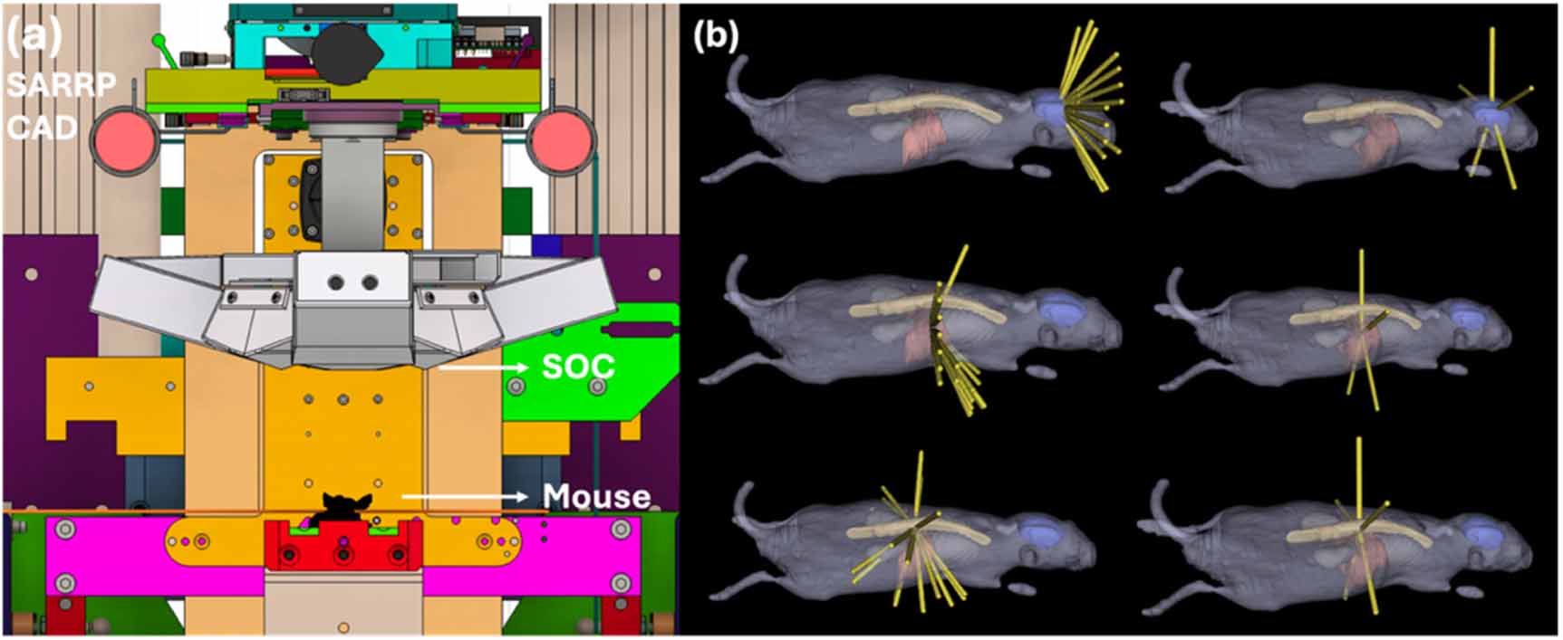 Novel 4π noncoplanar small animal irradiation with rectangular aperture ...