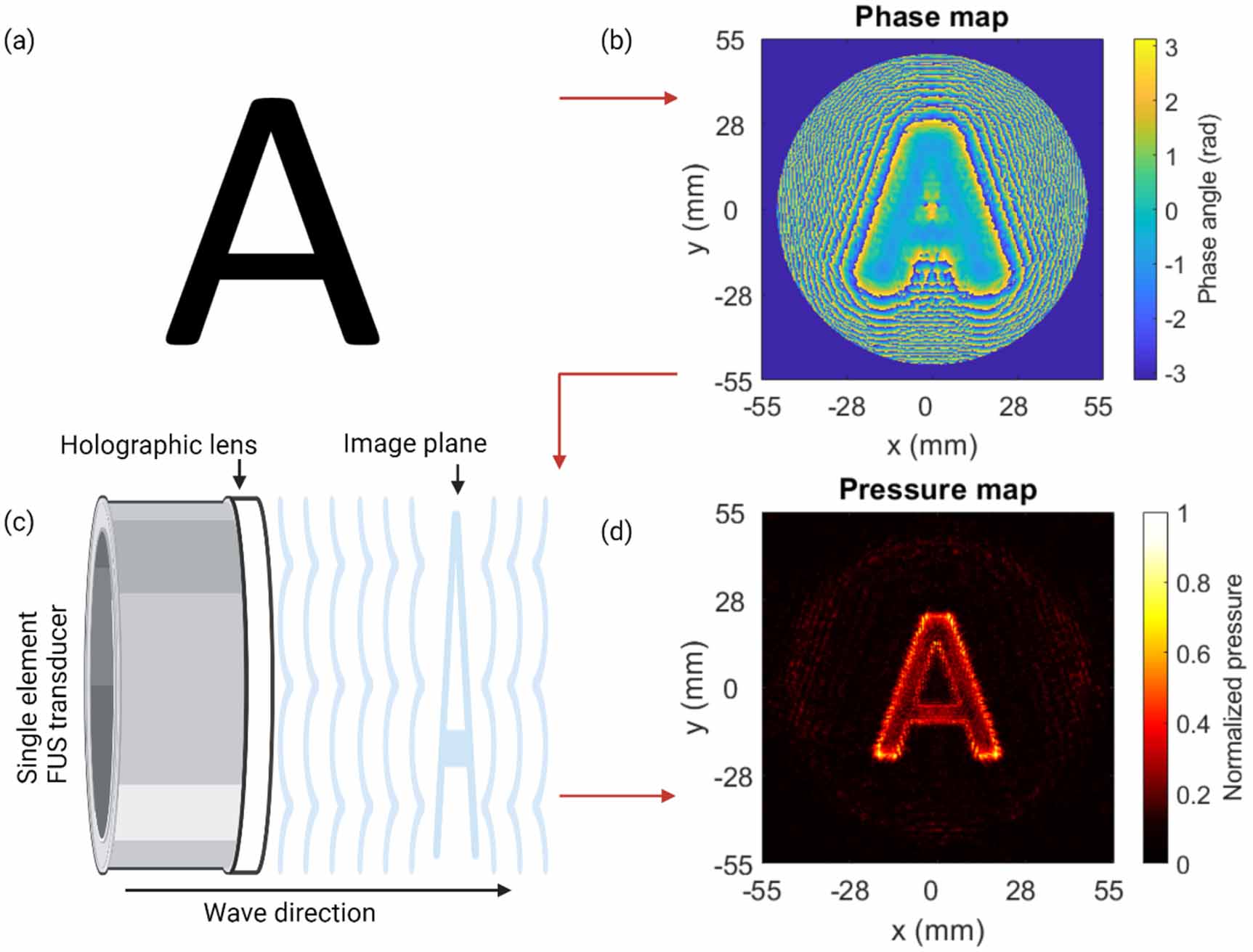 Acoustic holography in biomedical applications - IOPscience