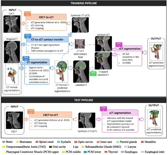 Deep learning-based segmentation of head and neck organs at risk on ...