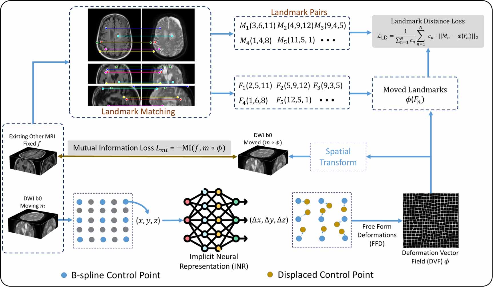 Landmark matching and B-spline implicit neural representations for ...